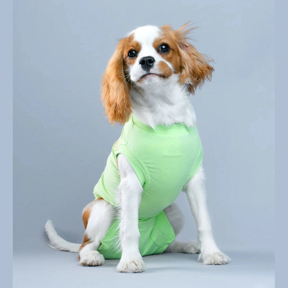 DOG RECOVERY SUIT - SUMMER GREEN – CVS Online Vet, Pet & Farm Supplies