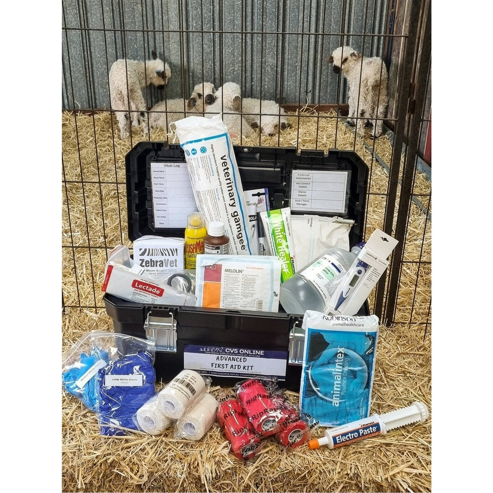 First Aid Kit Large Animals - Advanced – CVS Online Vet, Pet & Farm ...