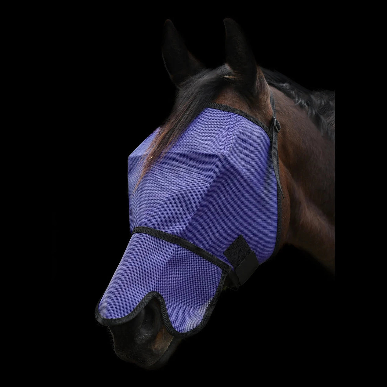 FLYVEILS BY DESIGN - EXTENDED NOSE COVER FLY VEIL – CVS Online Vet, Pet ...