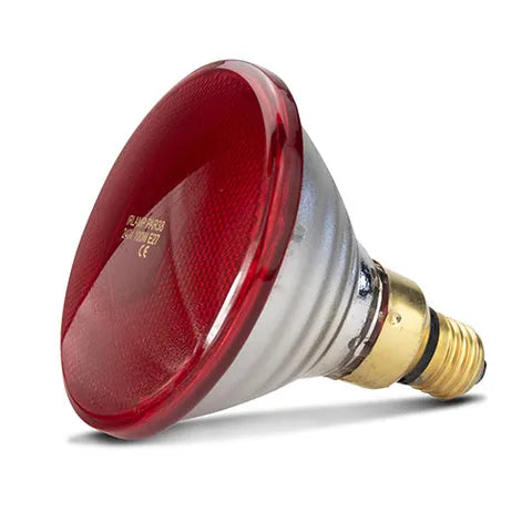 INFARED HEAT LAMP BULB - RED – CVS Online Vet, Pet & Farm Supplies