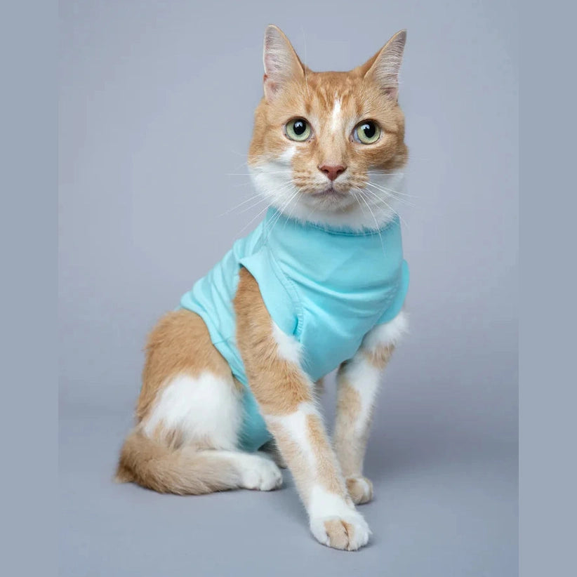 CAT RECOVERY SUIT - LIGHT BLUE – CVS Online Vet, Pet & Farm Supplies