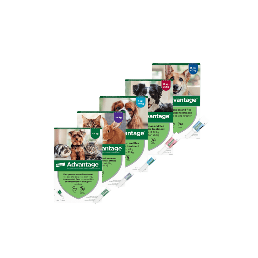 ADVANTAGE CAT – CVS Online Vet, Pet & Farm Supplies