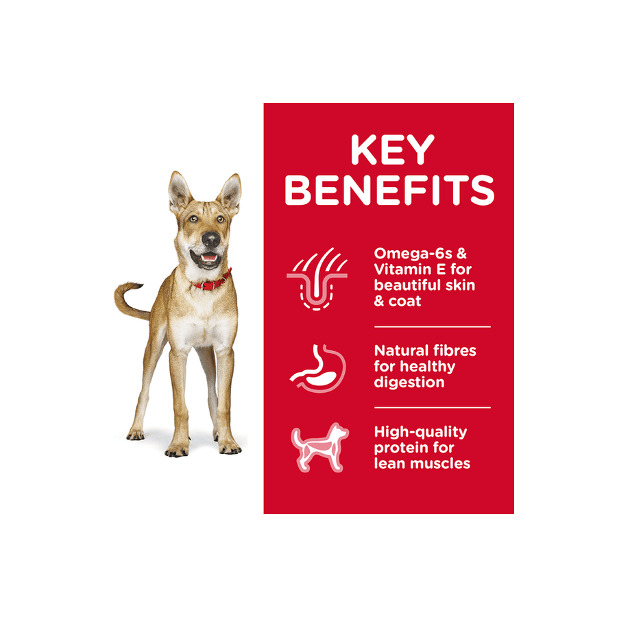 HILL'S SCIENCE DIET K9 ADULT CHICKEN & BARLEY – CVS Online Vet, Pet ...